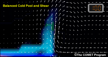 Principles of Convection III: Shear and Convective Storms